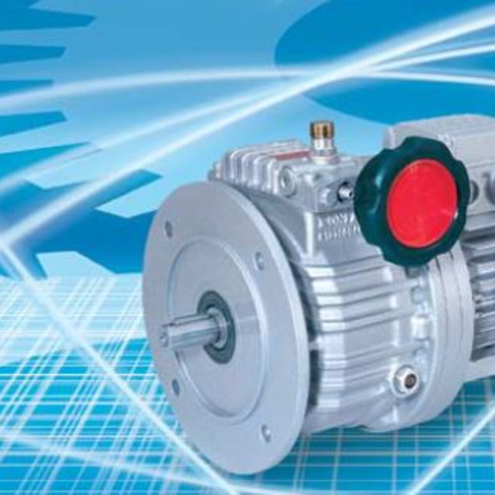 Spare parts for industrial products Bonfiglioli